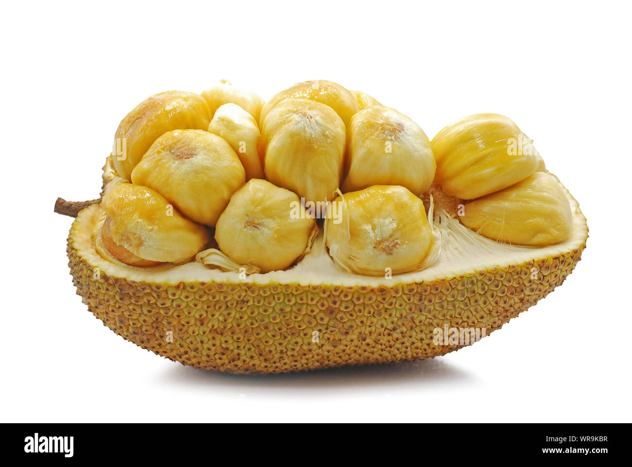 Fresh jackfruit cut out isolated on white background Stock Photo - Alamy