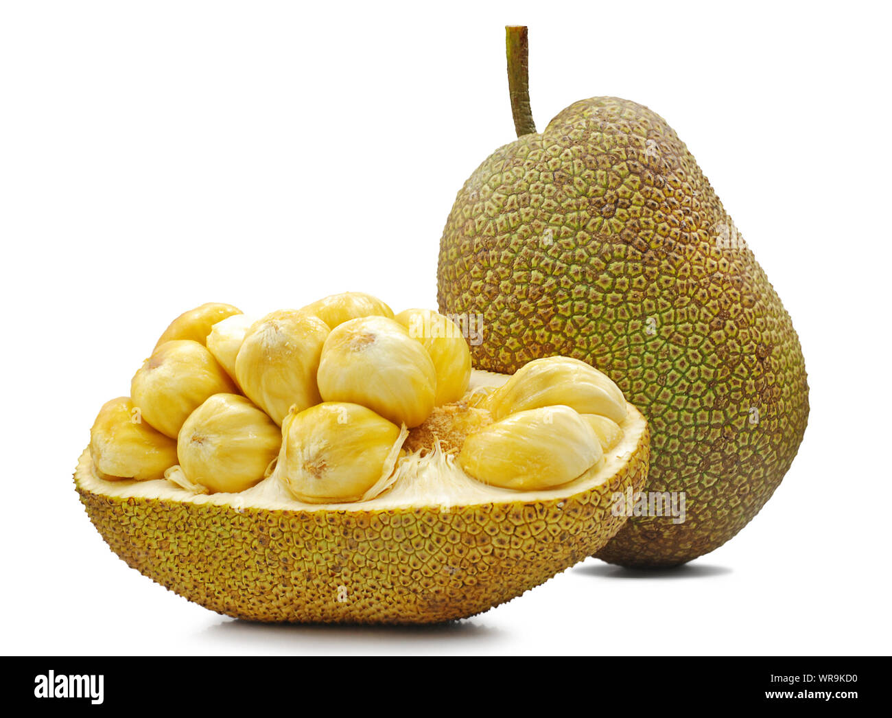 Fresh jackfruit cut out isolated on white background Stock Photo - Alamy