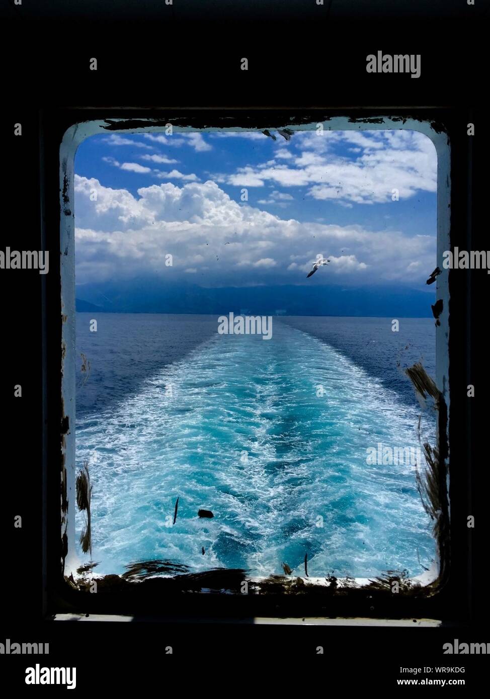 Wake from boat hi-res stock photography and images - Alamy