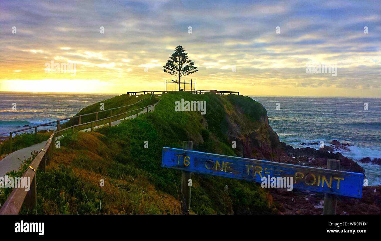 Cliff With Single Tree Over Sea Stock Photo - Alamy