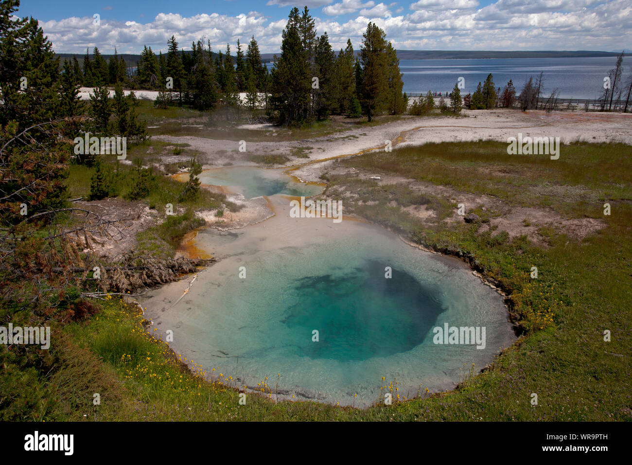 Bluebell pool hi-res stock photography and images - Alamy