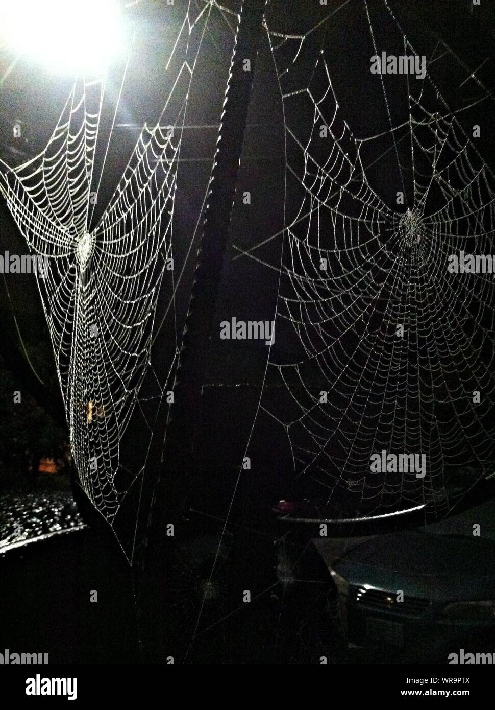 Spider web car hi-res stock photography and images - Alamy