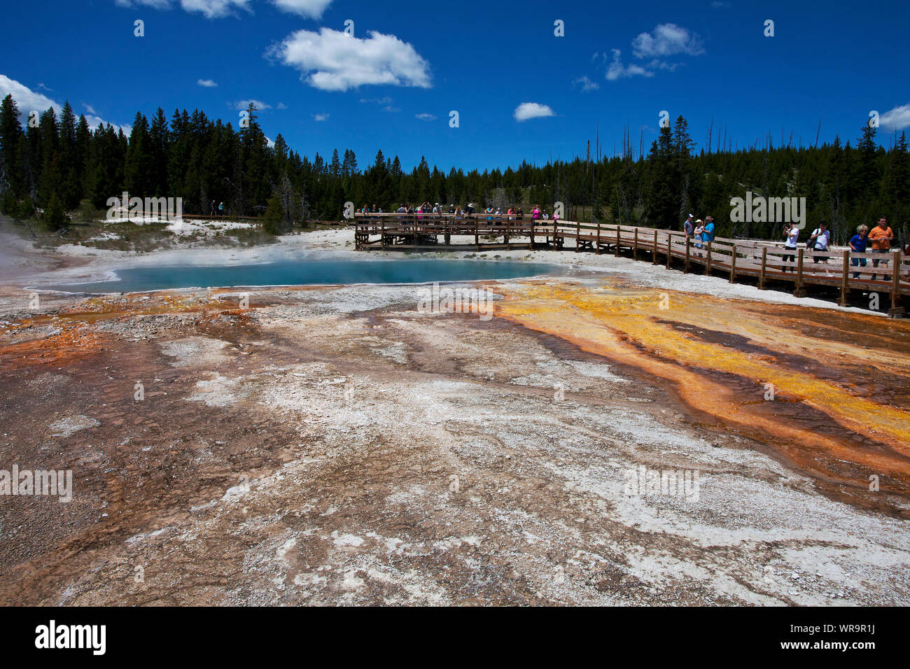 Black Pool West Thumb Geyser Basin Yellowstone National Park Wyoming ...