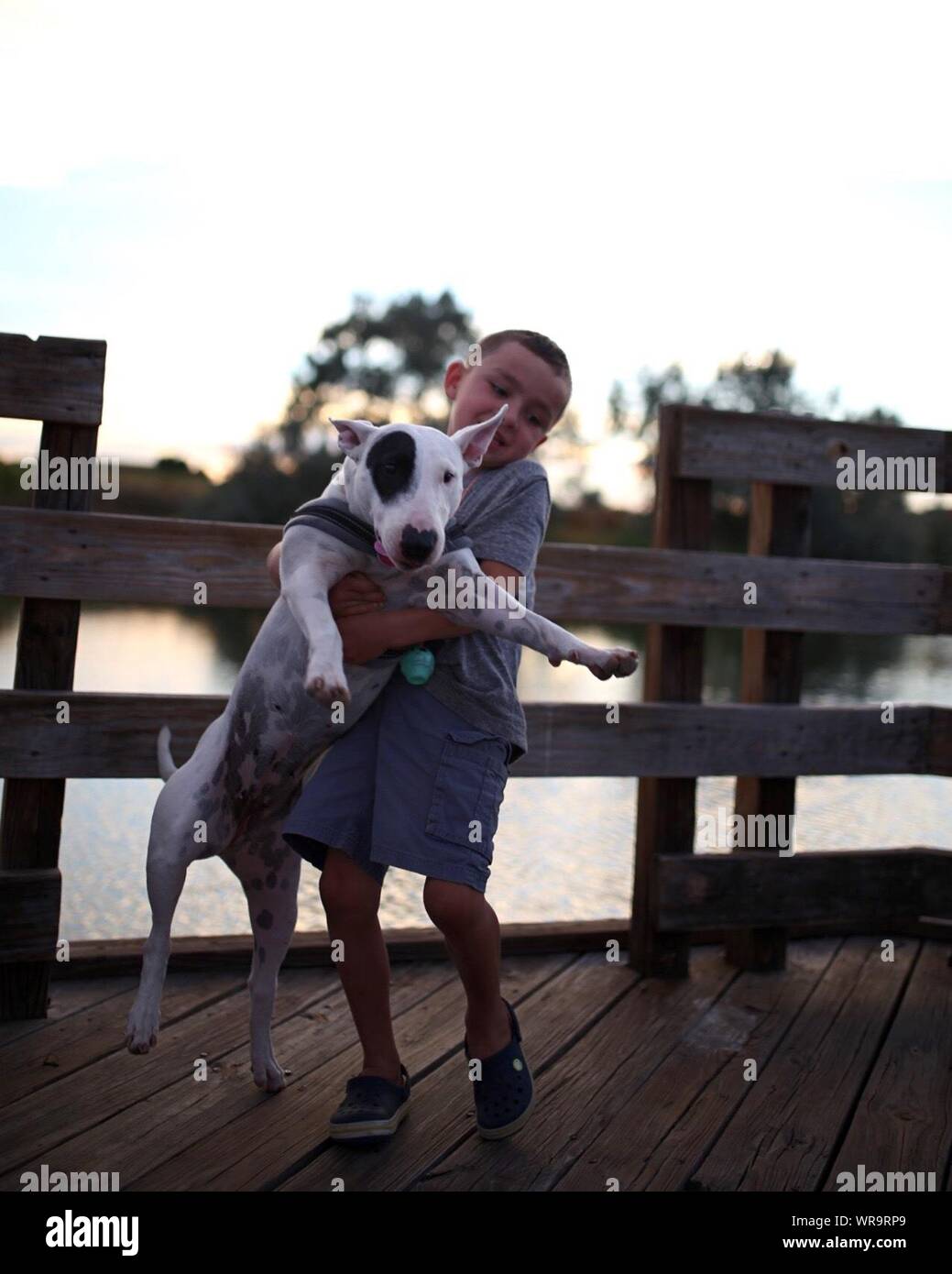 Dog picking hi-res stock photography and images - Alamy