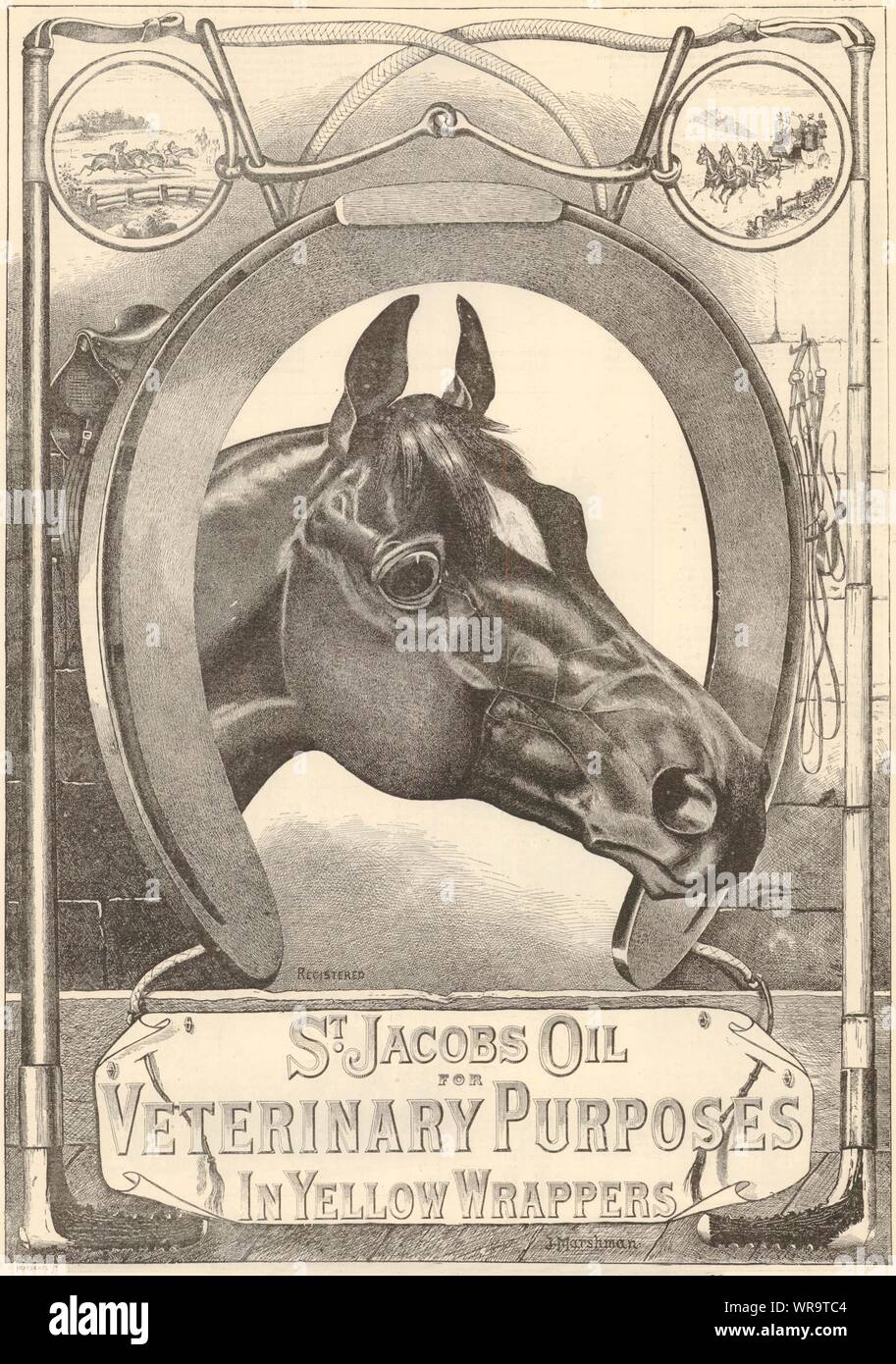 St. Jacobs Oil for Veterinary Purposes in yellow wrappers. Horse ...