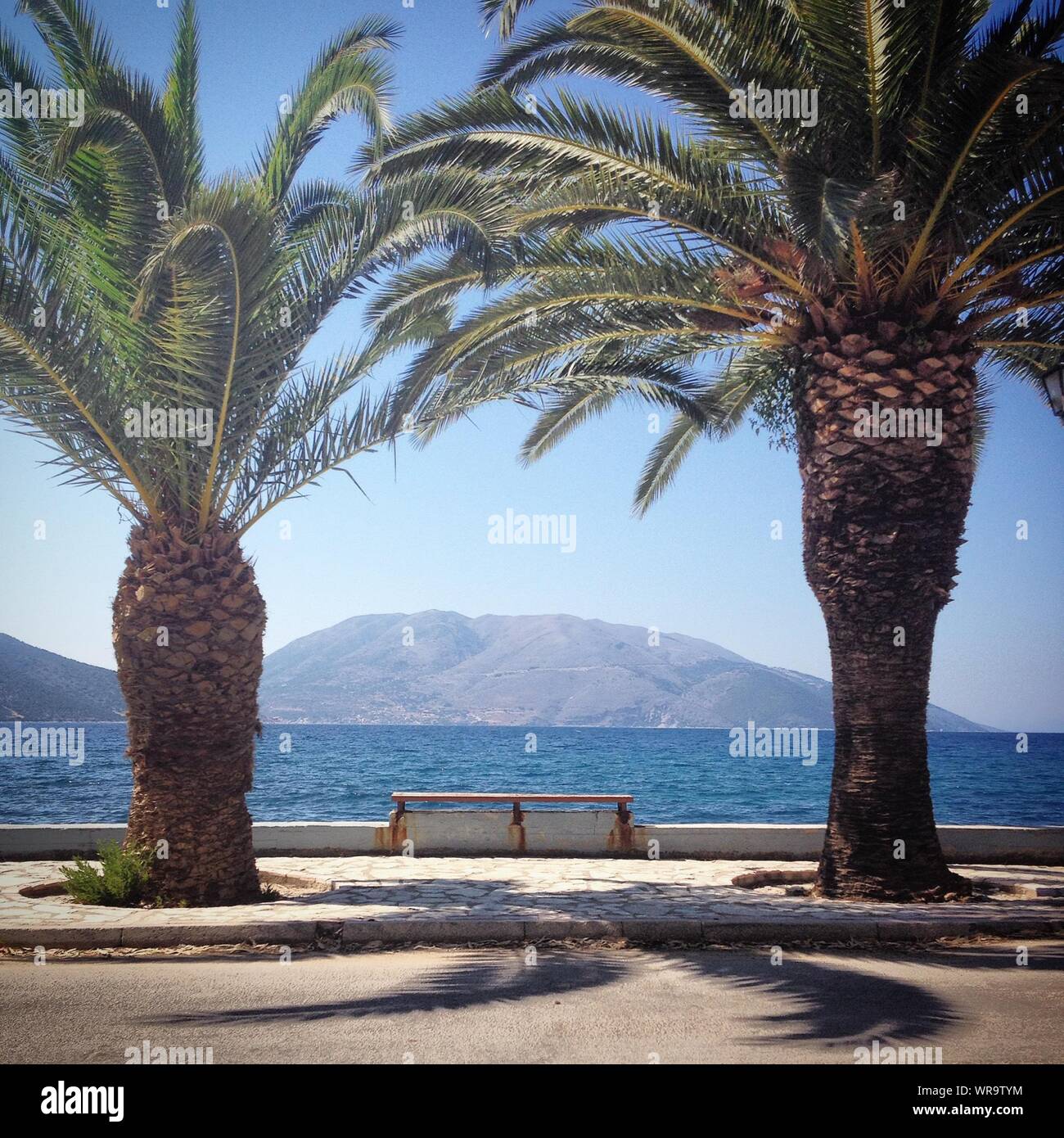 Palm trees promenade hi-res stock photography and images - Alamy