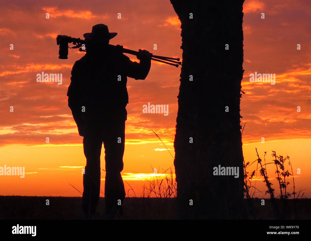 Man carrying tree trunk hi-res stock photography and images - Alamy