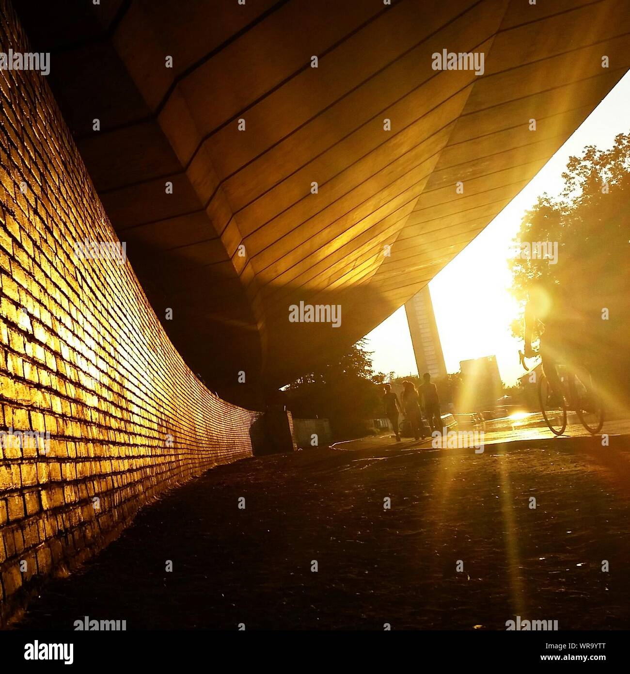 Sunlight sunny feature hi-res stock photography and images - Alamy