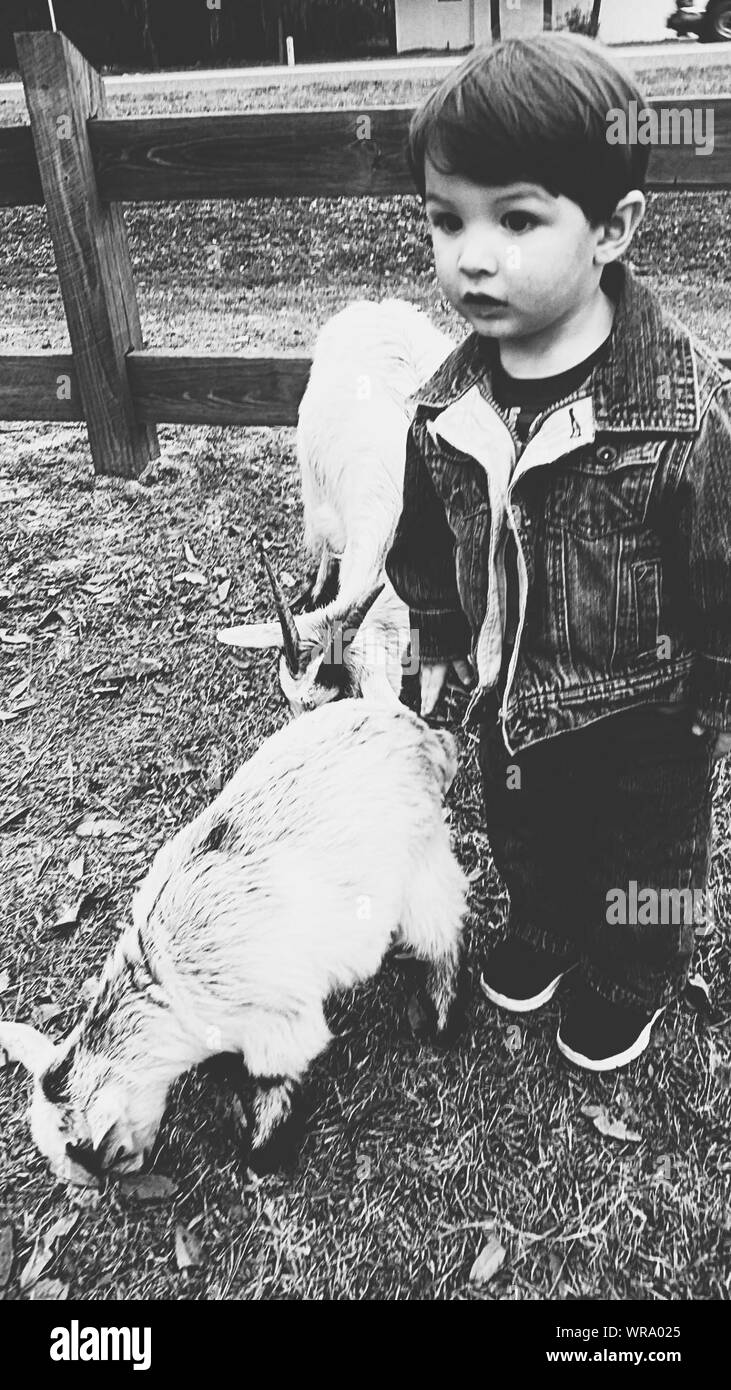 Two boys goat Black and White Stock Photos & Images - Alamy