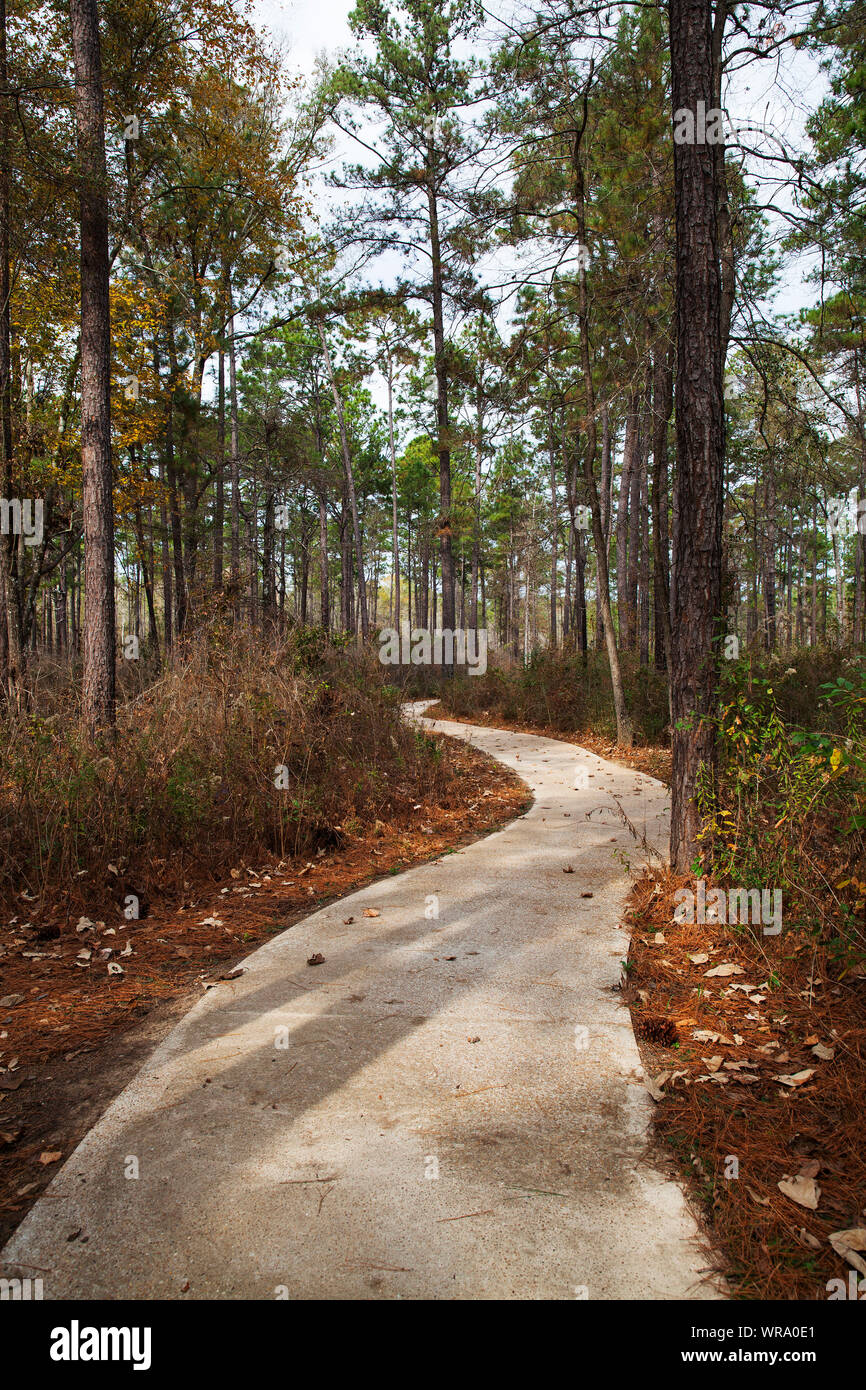 Pitcher plant nature trail hi-res stock photography and images - Alamy
