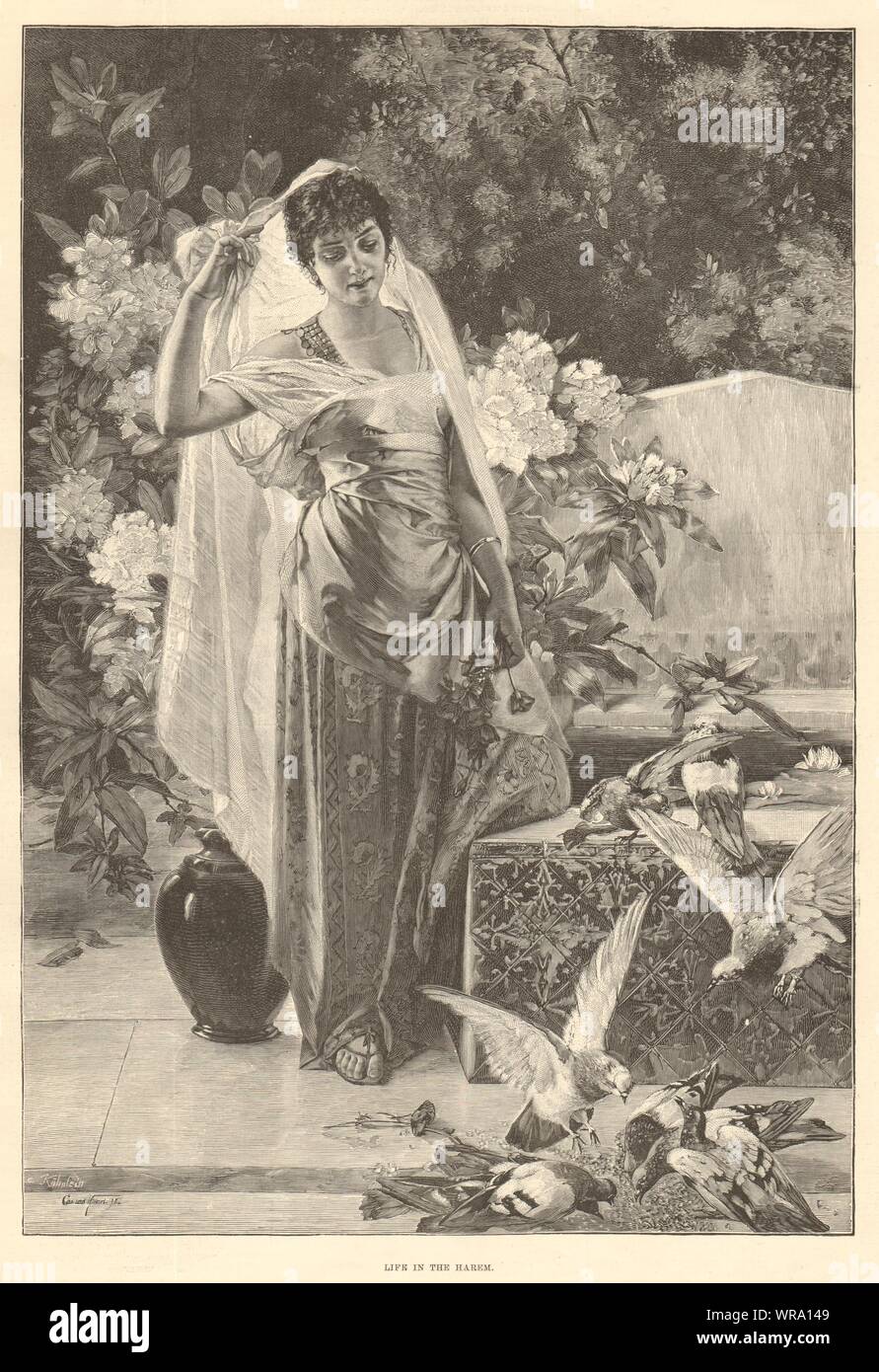 Life in harem hi-res stock photography and images - Alamy