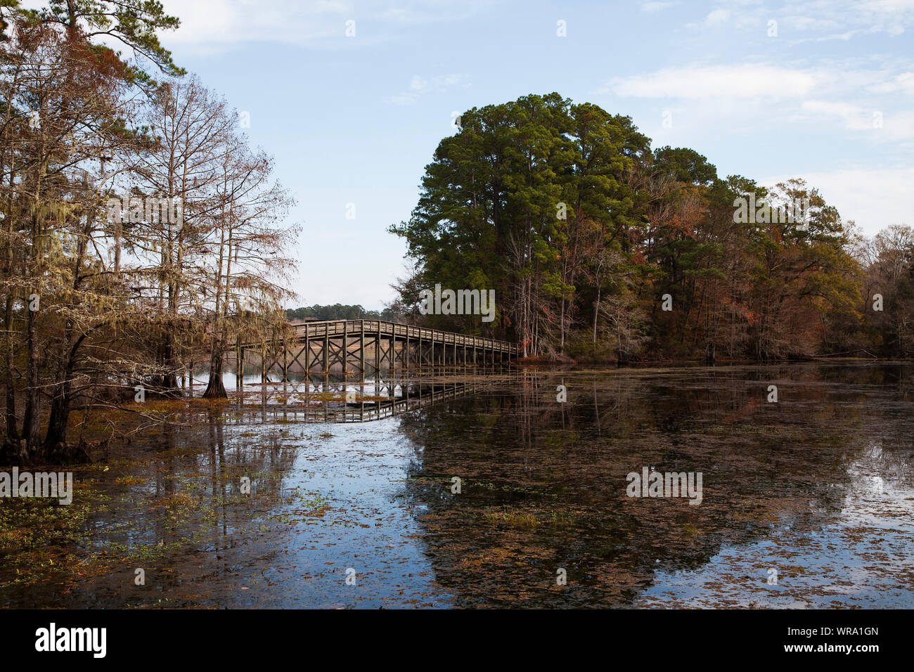 Observation bridge reflected in B.A, Steinhagen Reservoir, Martin Dies ...