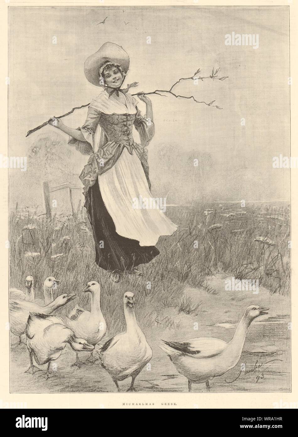 Michaelmas hi-res stock photography and images - Alamy