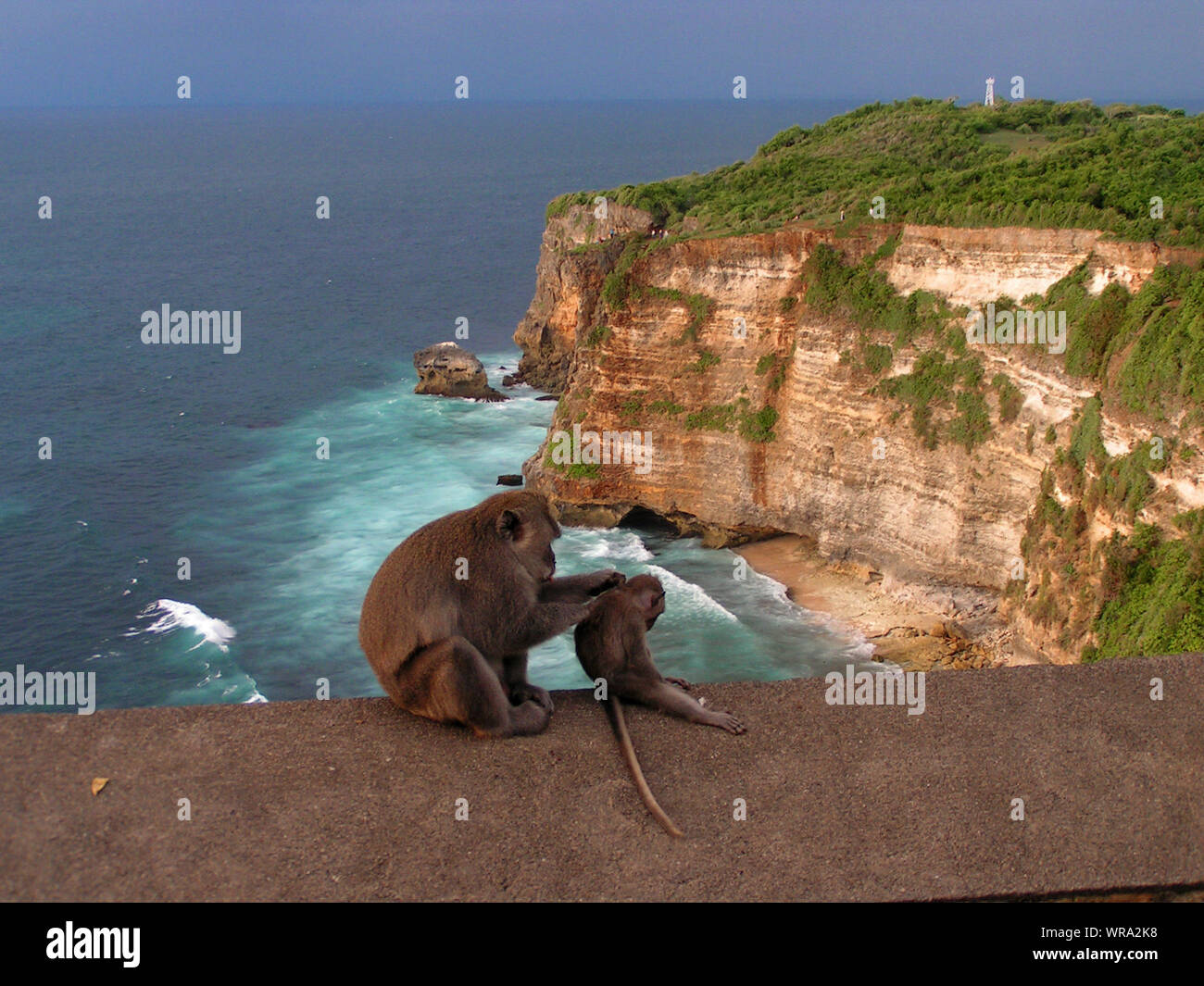 Monkey cliff hi-res stock photography and images - Alamy
