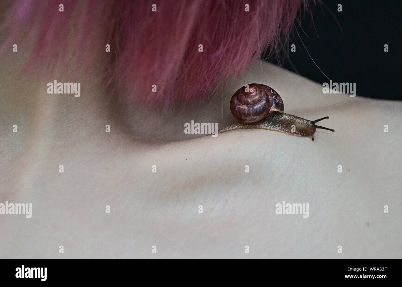 Woman snail hi-res stock photography and images - Alamy