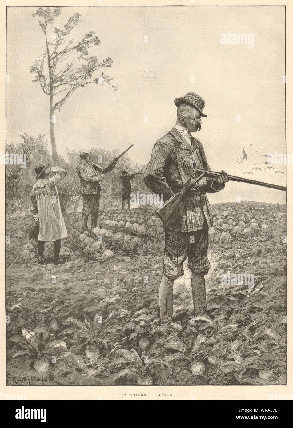 Partridge shooting. Birds. Shotguns. Eye glass 1895 antique ILN full ...