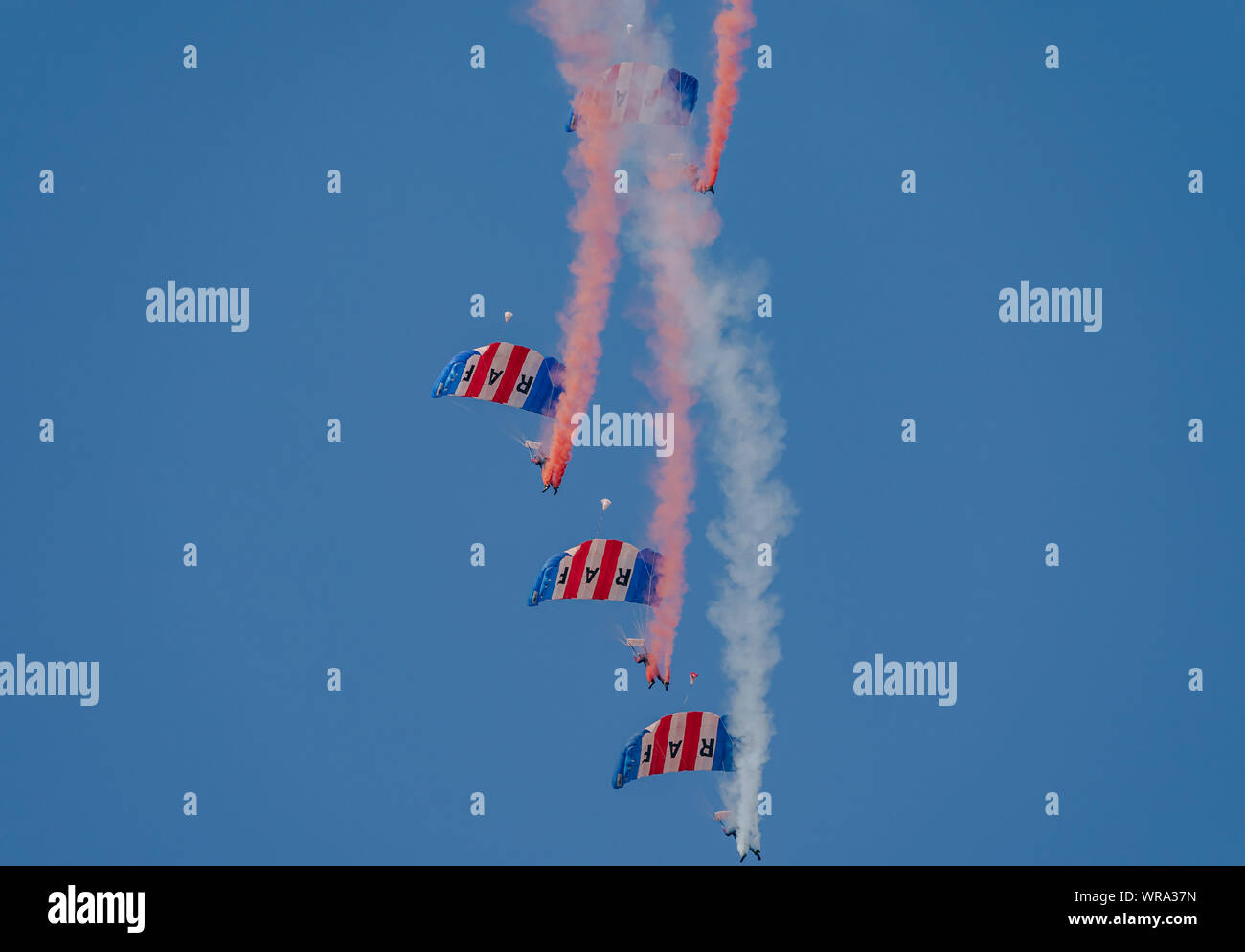 RAF Falcons parachute display team Stock Photo - Alamy
