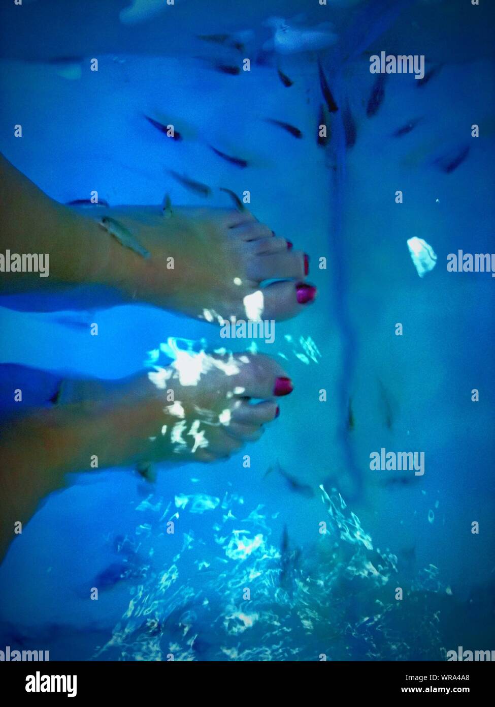 Dead skin hi-res stock photography and images - Alamy