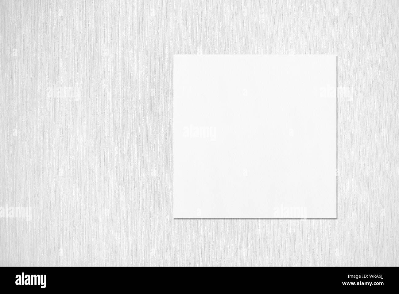 Empty white square flyer or business card mockup with soft shadows on ...