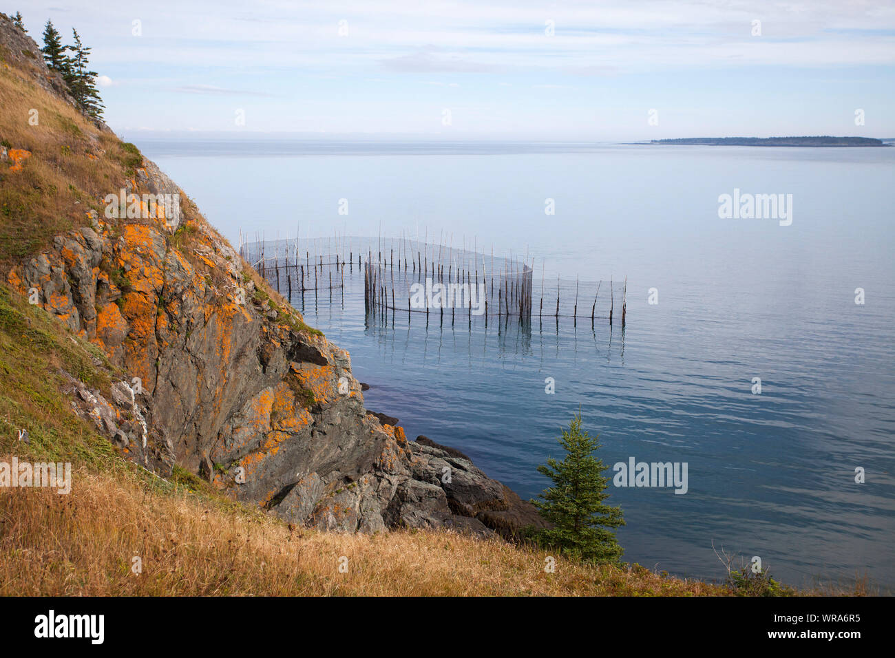Hering nets hi-res stock photography and images - Alamy