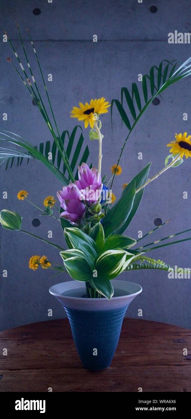 Conical Flower Head High Resolution Stock Photography and Images - Alamy