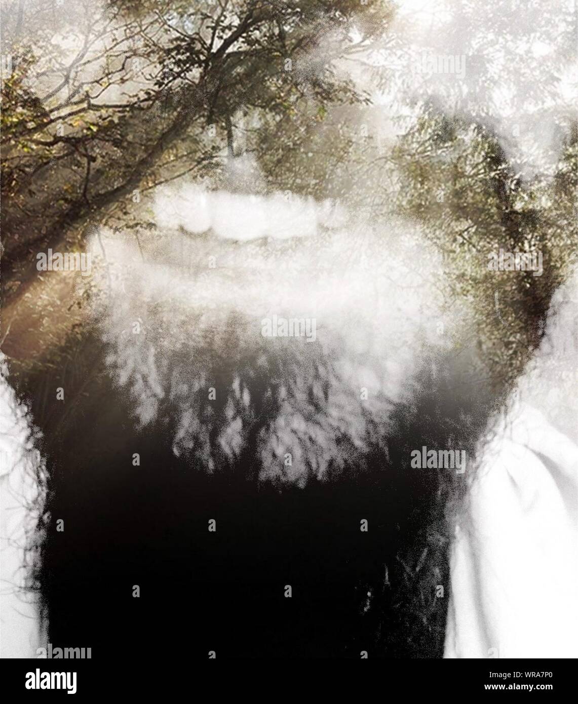 Double Exposure Man Tree High Resolution Stock Photography and Images ...