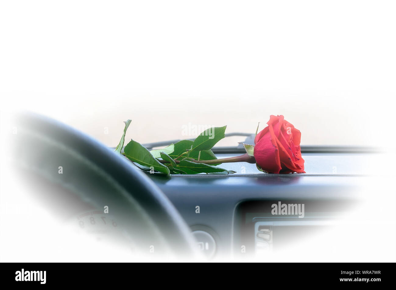 Car inside view Cut Out Stock Images & Pictures - Alamy