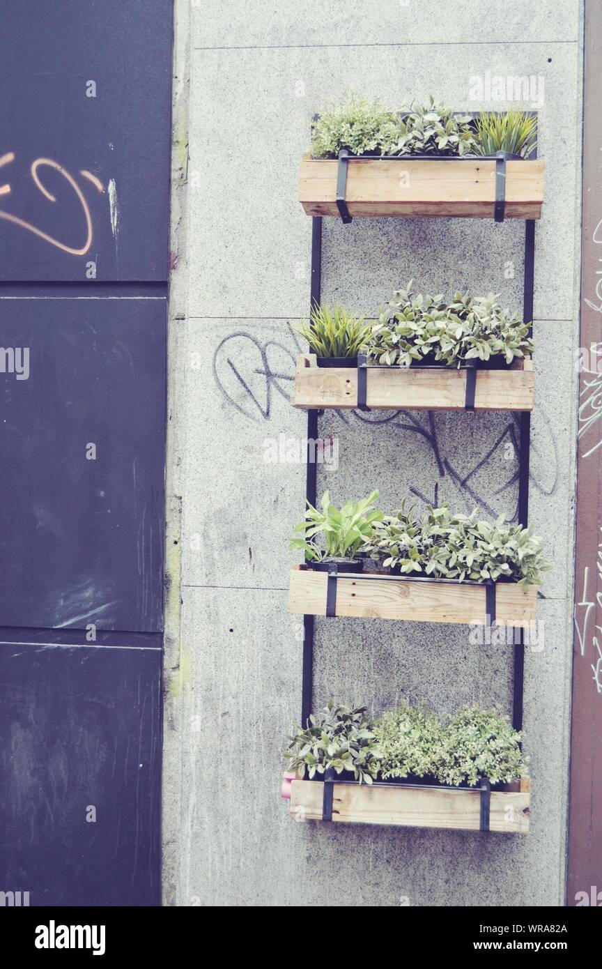 Wall mounted plant hi-res stock photography and images - Alamy