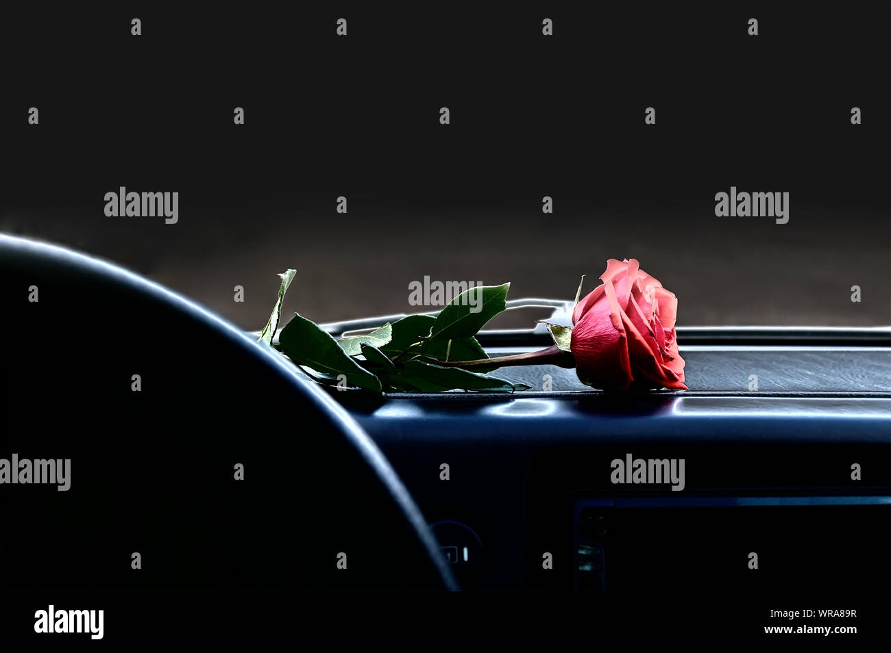 Rose Night Light High Resolution Stock Photography and Images - Alamy