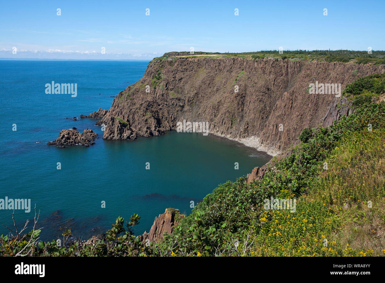 Columnar basalt Southwest Head Grand Manan Island Bay of Fundy New Brunswick Canada August 2016 ...