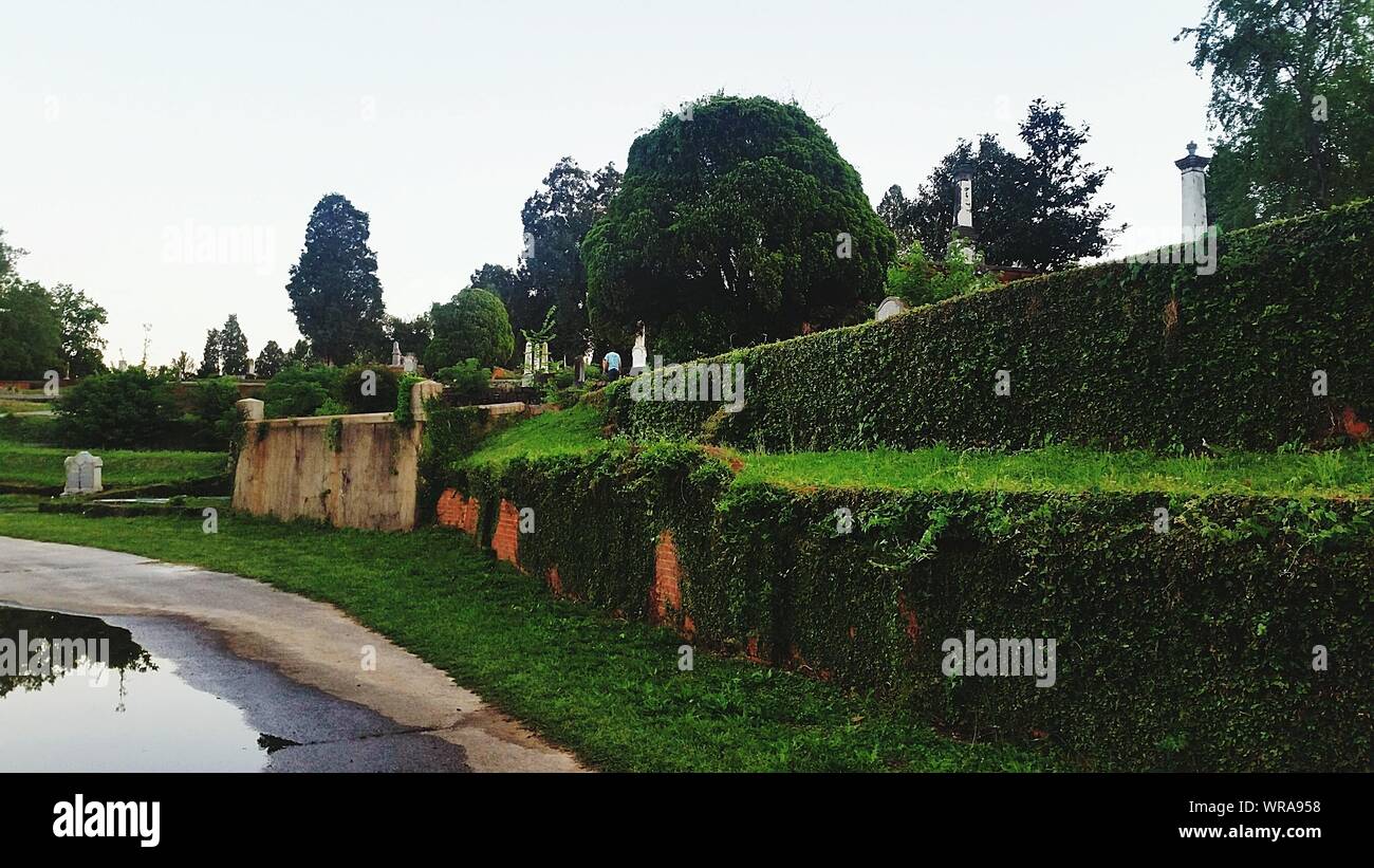 Overgrown plants building hi-res stock photography and images - Alamy