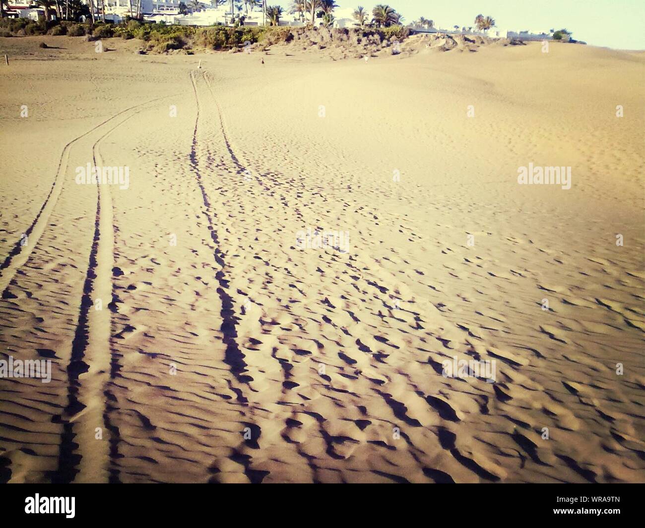 Tire Tracks Beach High Resolution Stock Photography and Images - Alamy