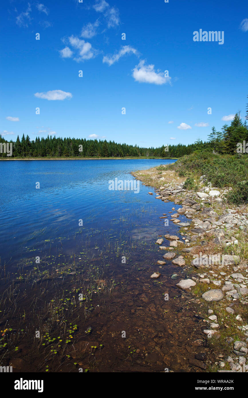 Grassy Lake Fundy National Park New Brunswick Canada August 2016 Stock ...