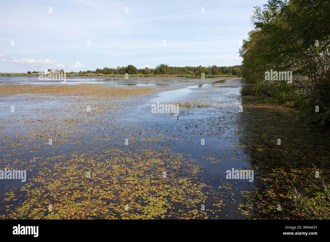 New brunswick lake hi-res stock photography and images - Alamy