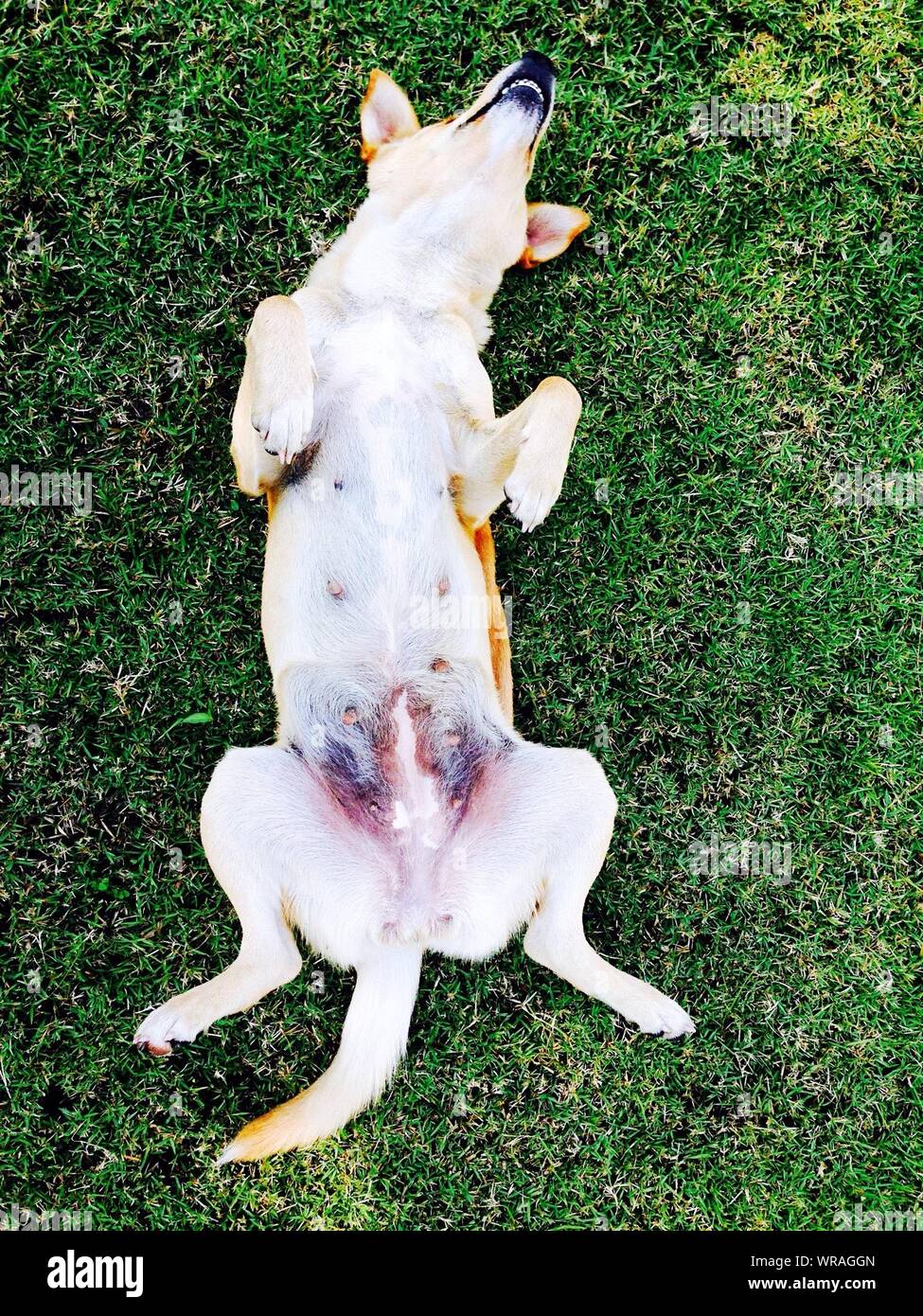 Back ground view hi-res stock photography and images - Alamy