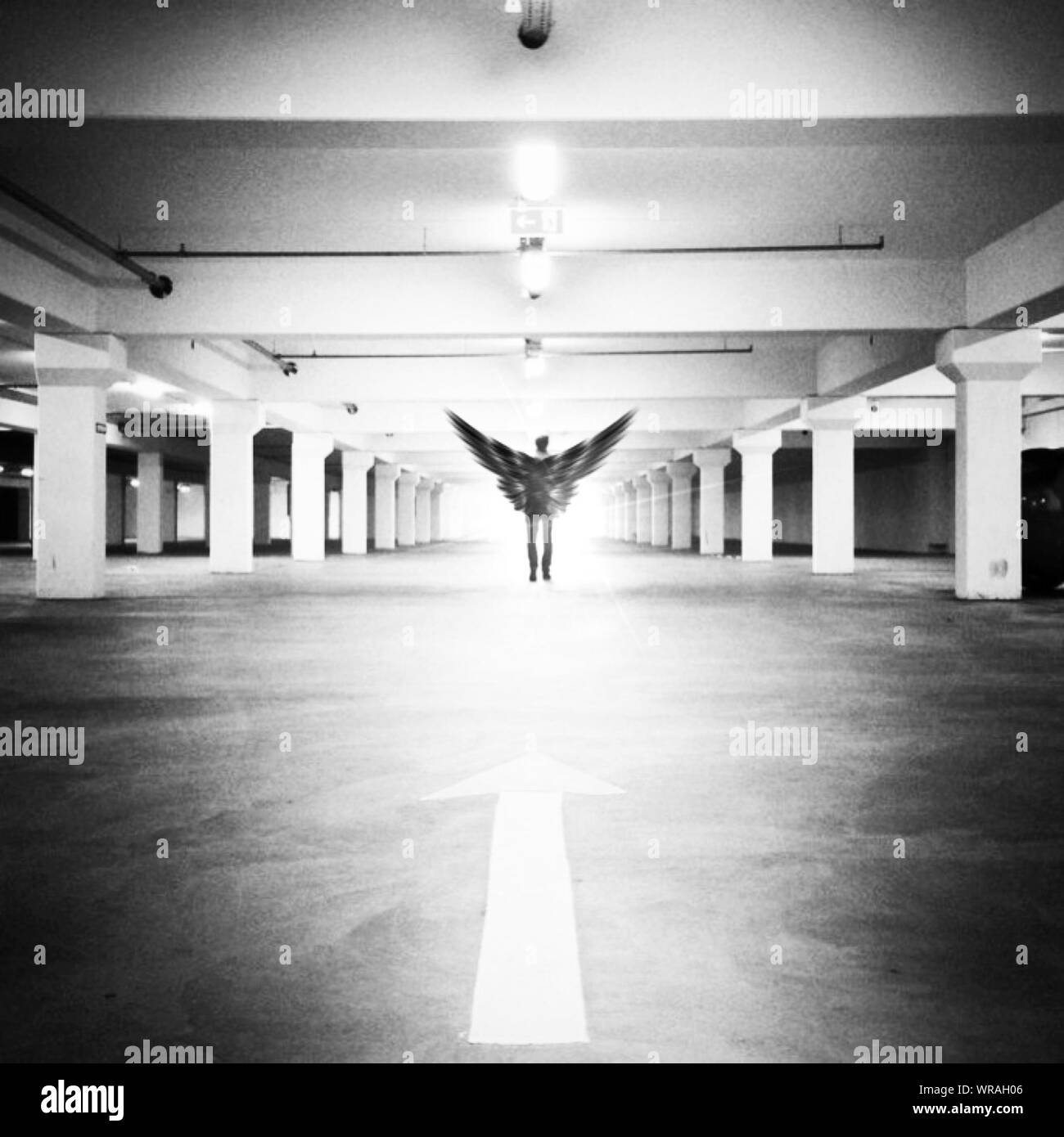 Wing rear view Black and White Stock Photos & Images - Alamy