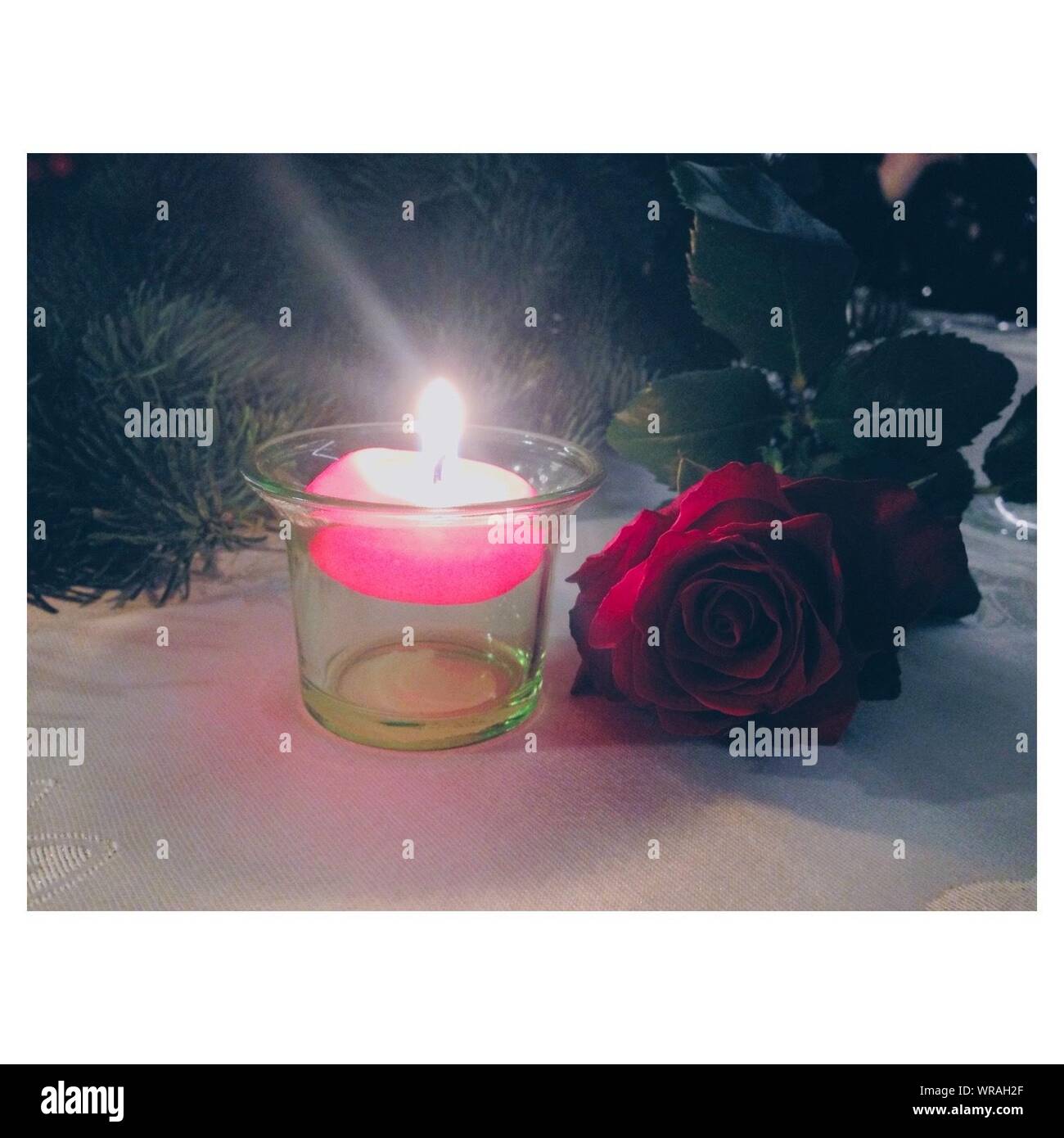 Rose night light hi-res stock photography and images - Alamy