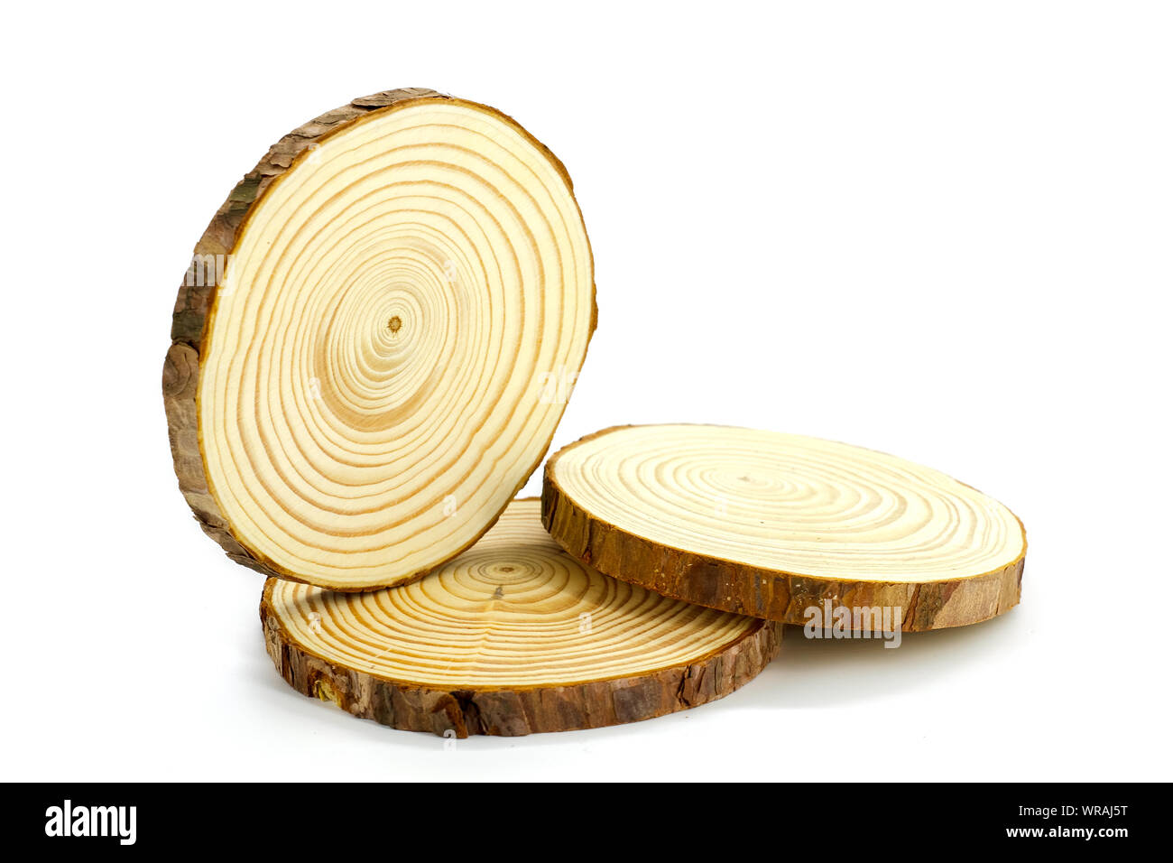 Three natural round wooden branches on a white background Stock Photo ...