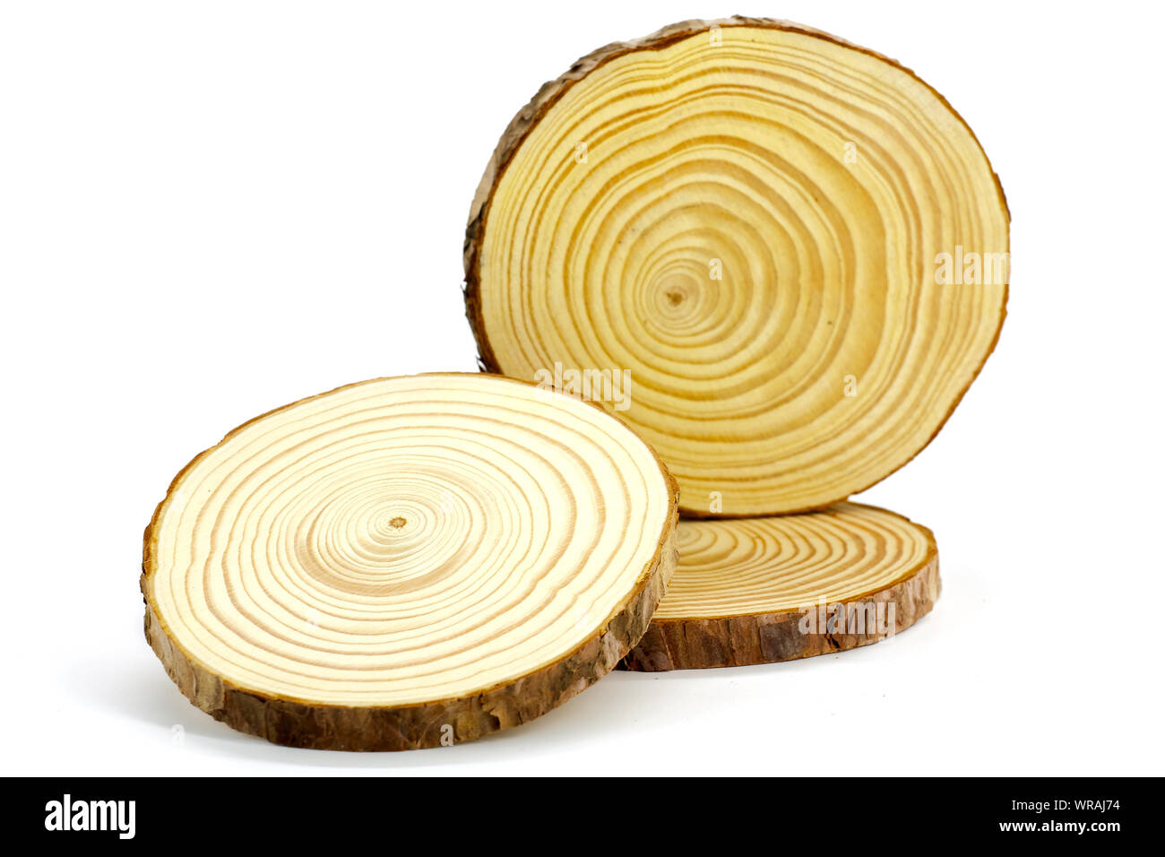 Wooden branches Cut Out Stock Images & Pictures - Alamy