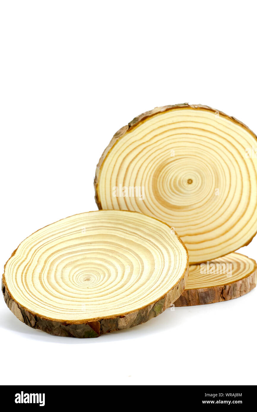 Three natural round wooden branches on a white background Stock Photo ...