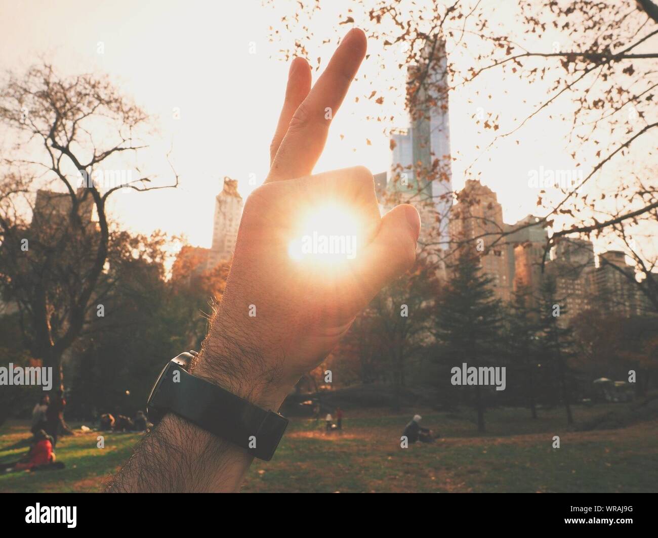 Hand against the sun hi-res stock photography and images - Alamy