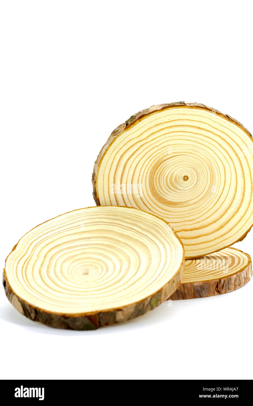 Wooden cross section branches hi-res stock photography and images - Alamy