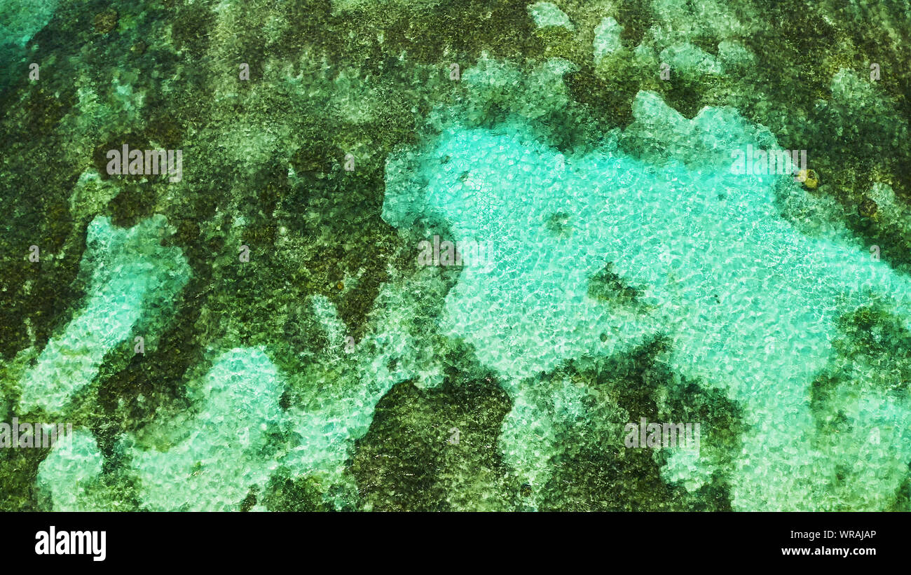 Turquoise lagoon surface on atoll and coral reef, copy space for text ...