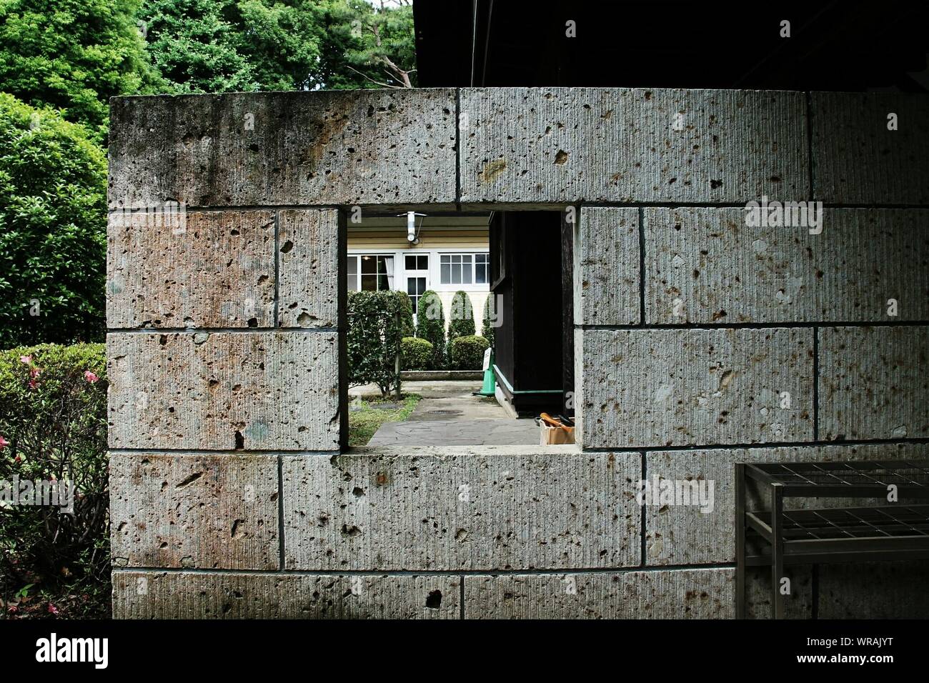 Square hole tree hi-res stock photography and images - Alamy