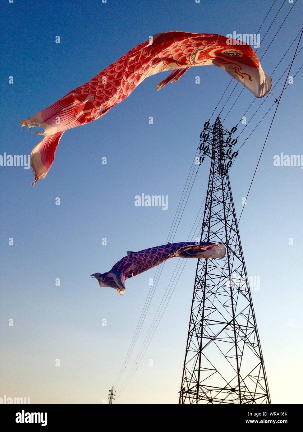 Koi fish kite hi-res stock photography and images - Alamy