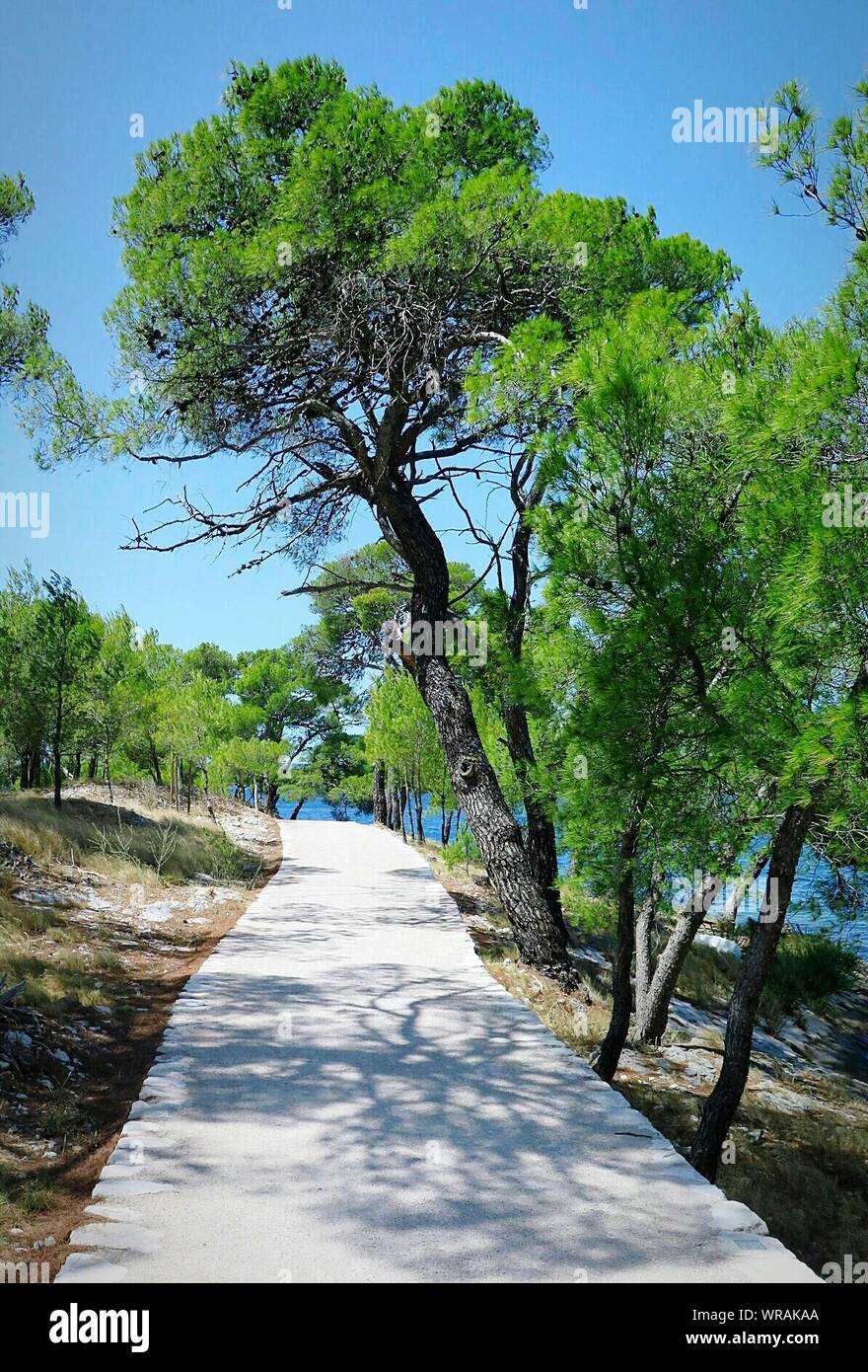 Clear pathway hi-res stock photography and images - Alamy