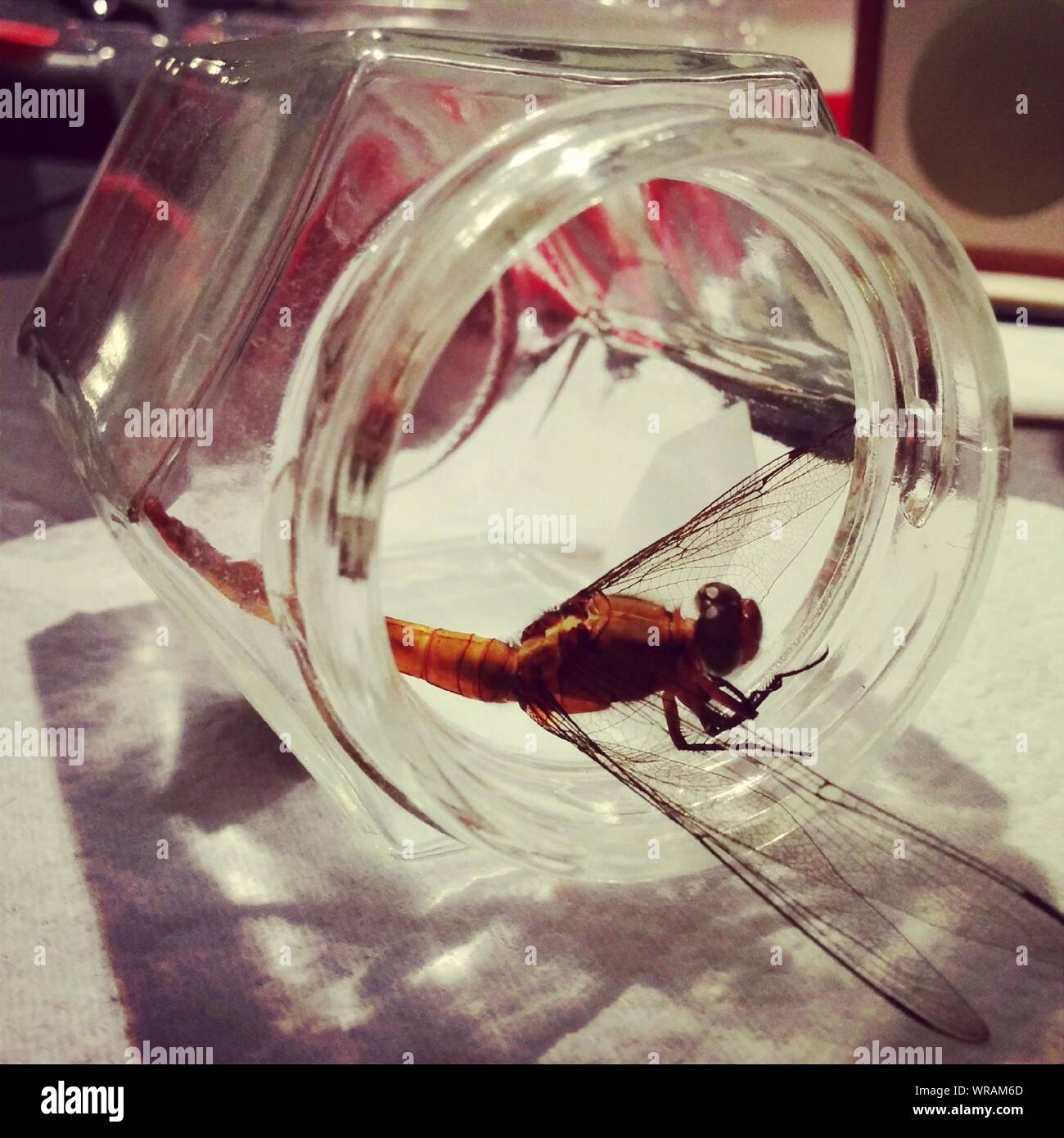 Winged glass hi-res stock photography and images - Alamy