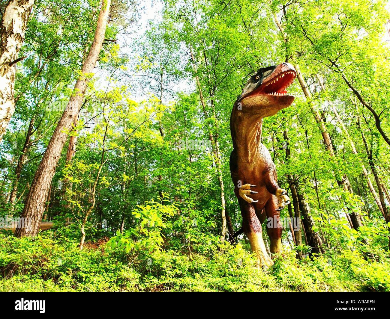 Dinosaur forest hi-res stock photography and images - Alamy