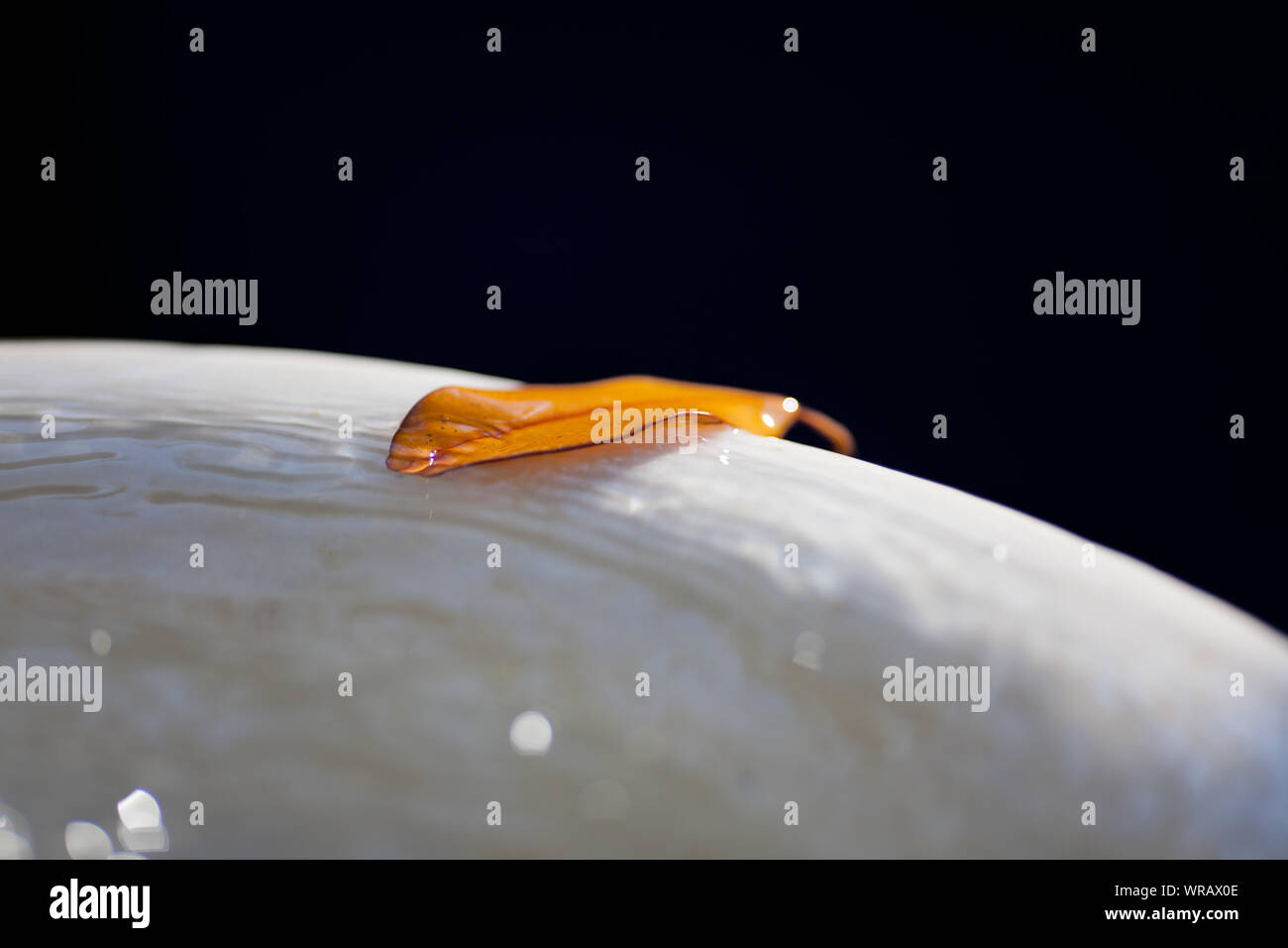 Fountain in alhambra hi-res stock photography and images - Alamy