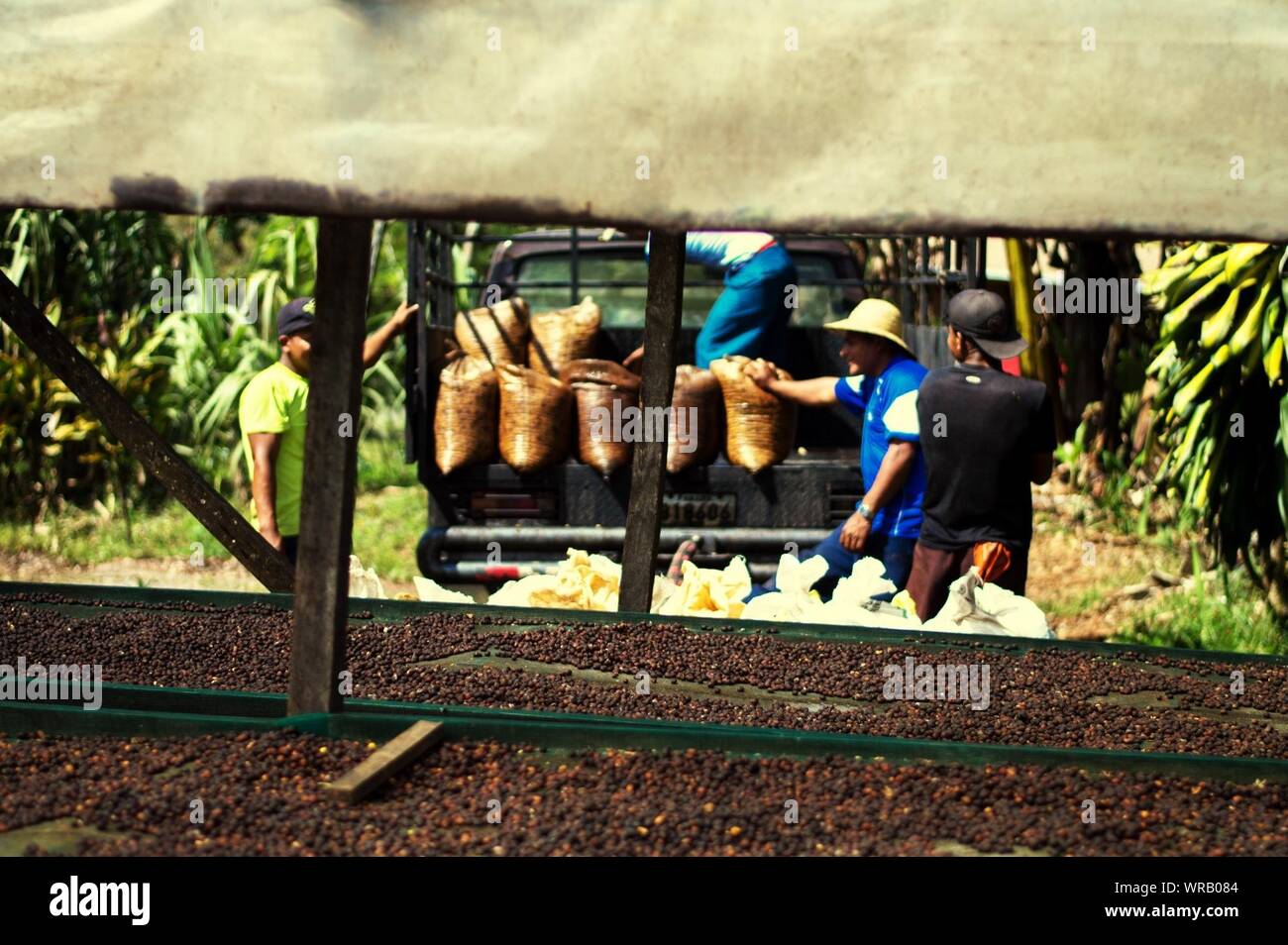 Men Loading Sacks High Resolution Stock Photography and Images - Alamy